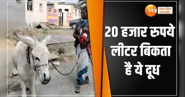donkey milk the most expensive in the world Price 20 thousand rupees ...
