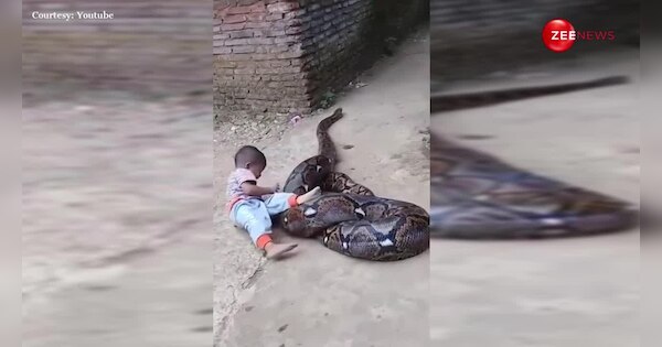 boy play with 15 foot python you get shocked after see video | खिलौने ...