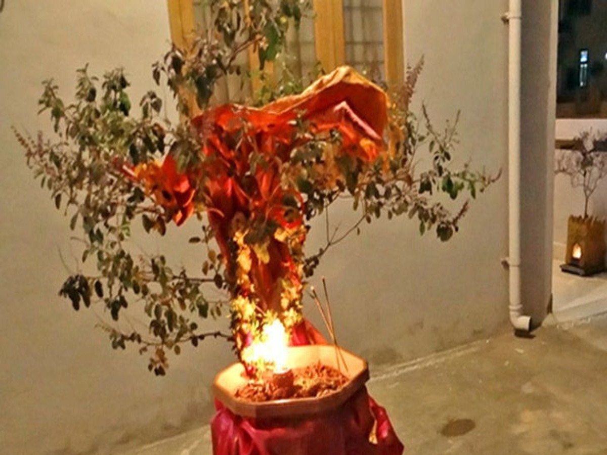 tulsi vivah 2023 do tulsi shaligram vivah with this vidhi your all ... tulsi vivah 2023 do tulsi shaligram vivah with this vidhi your all ...