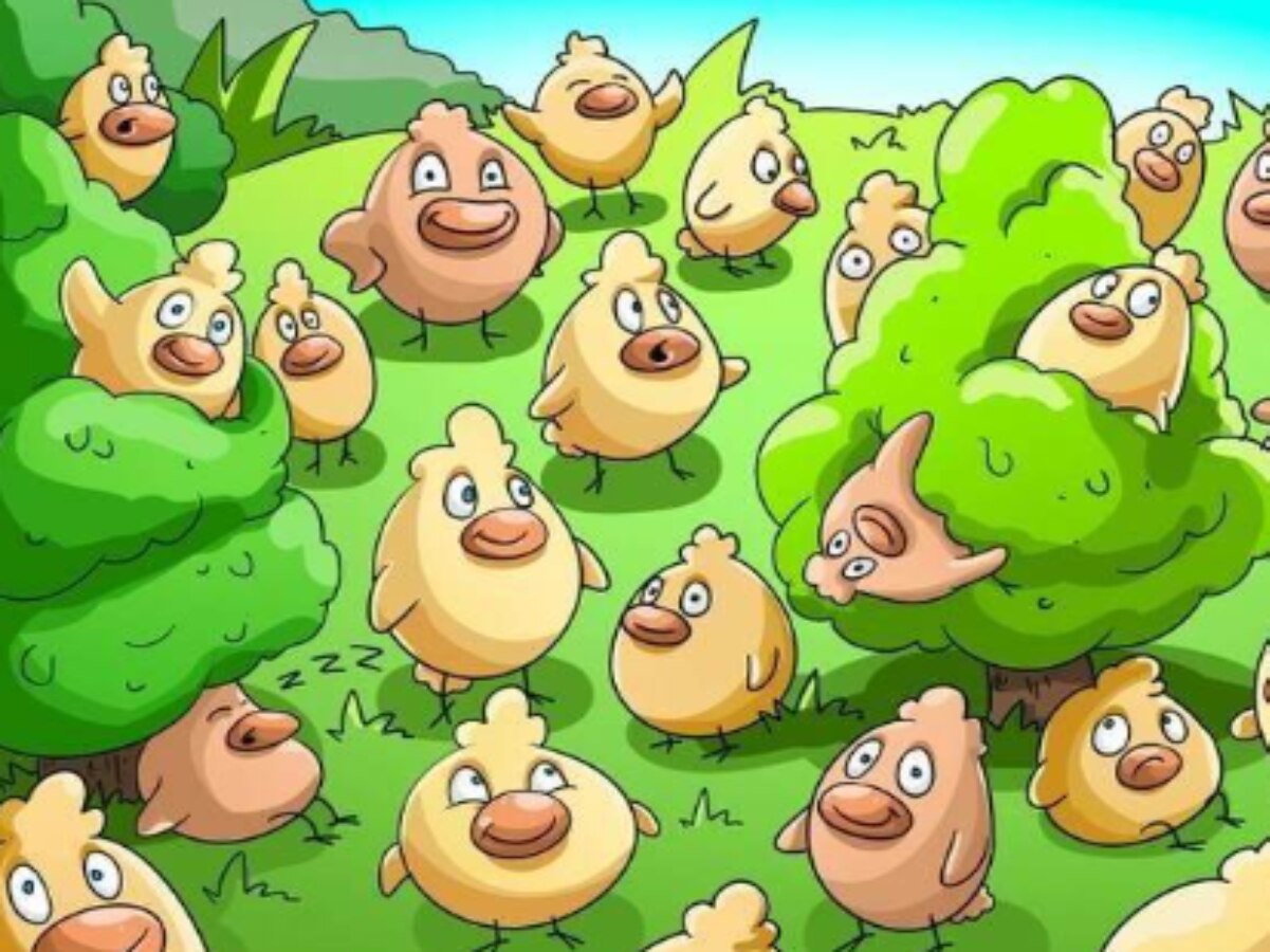 Optical illusion challenge find hidden pig among these chickens with in ...