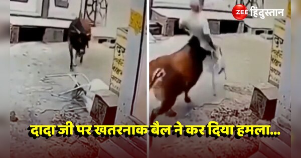 dangerous bull attack on old man video went viral | Bull Attack: गली ...