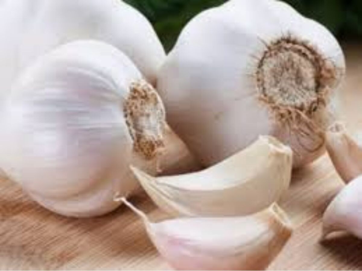 Lahsun health benefits and disadvantages know right time of consumption ...