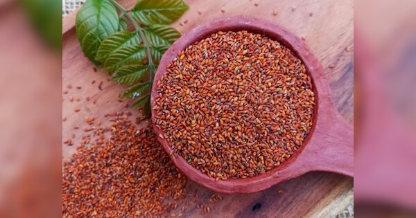 Health tips garden cress seeds benefits for females halim ke beej ke ...