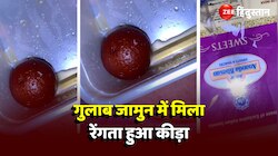 Gulab Jamun की ताज़ा खबरे हिन्दी में | ब्रेकिंग और लेटेस्ट न्यूज़ in ...