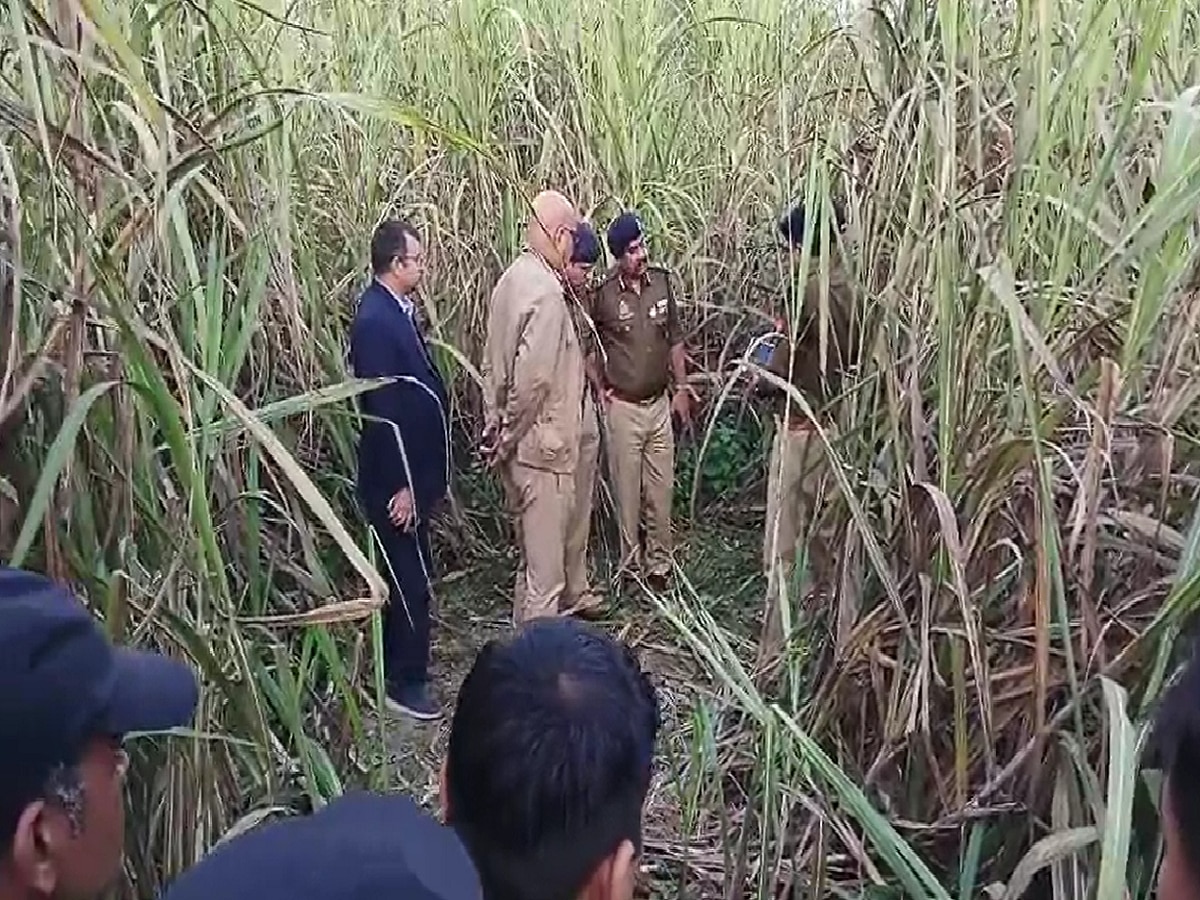 Bareilly 9 murders in 6 months in Bareilly police pshycho serial killer ...