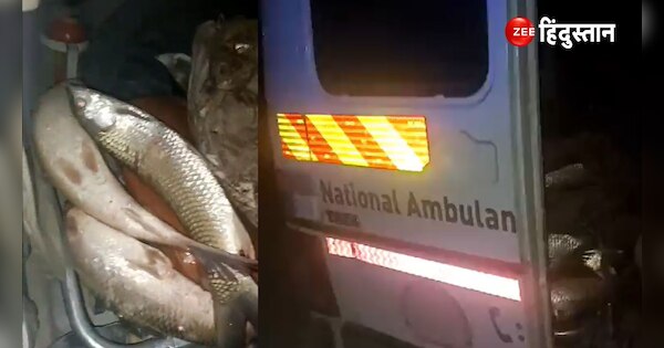 UP News In Jalaun instead of patients being transported by ambulance ...