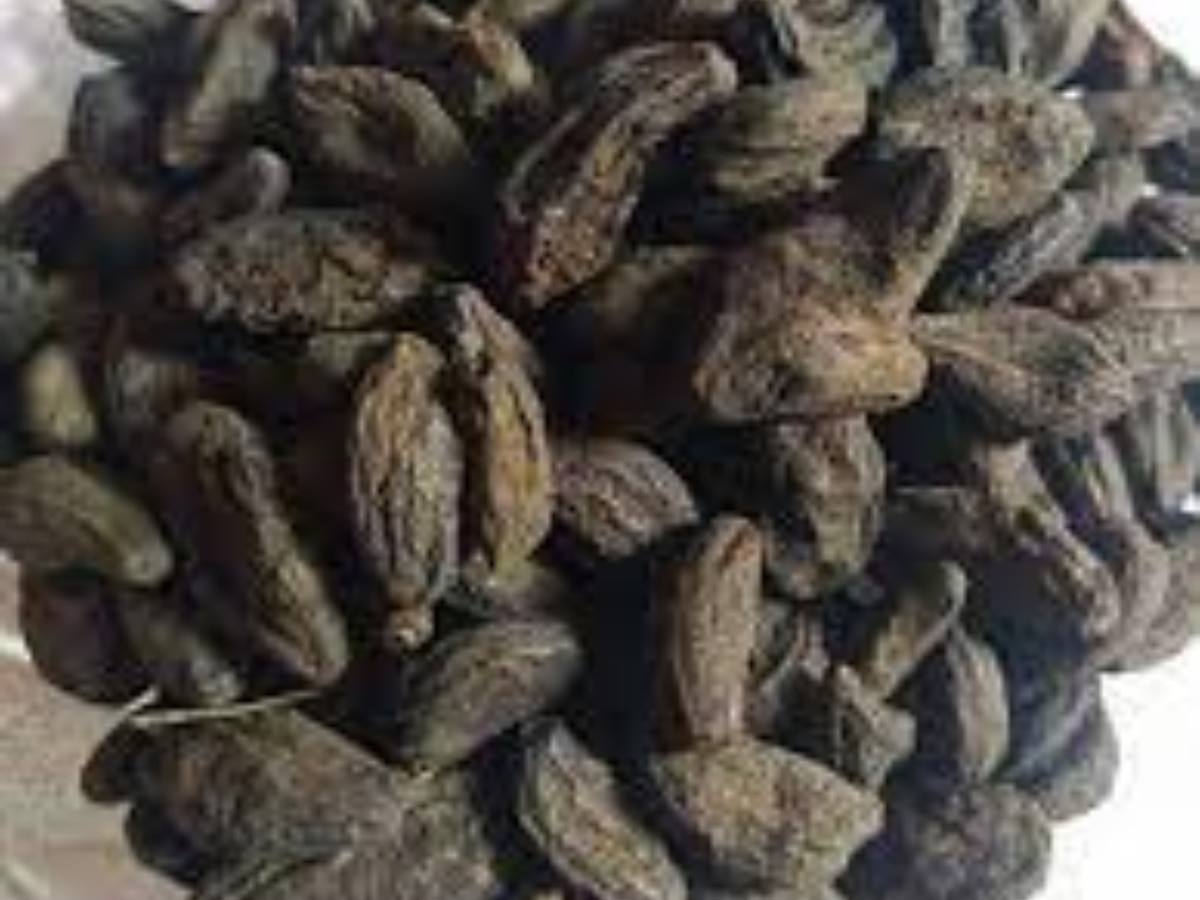 health benefits of harad khane ke fayde in winter for digestion ...