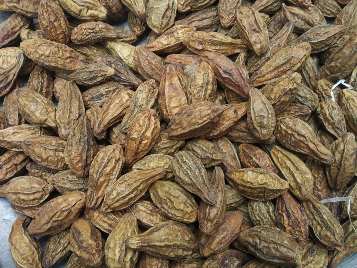 health benefits of harad khane ke fayde in winter for digestion ...