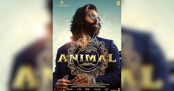 Who is Trupti Dimri gave intimate scenes in Animal animal movie box ...