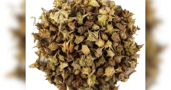 benefits of gokhru in urine infection asthma digestion Gokshura ke ...