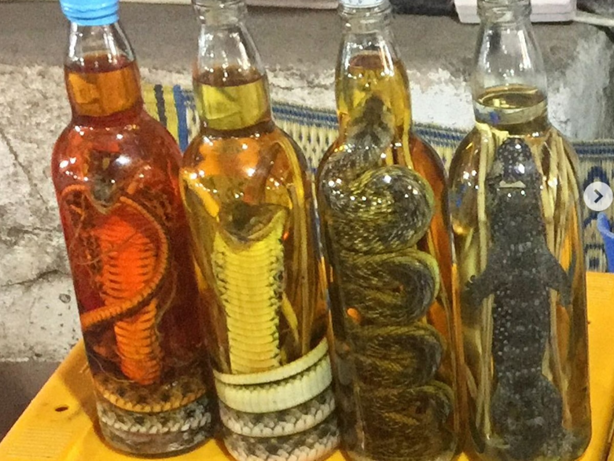 snake Whiskey In Japan: you will get goosebumps just by looking at ...