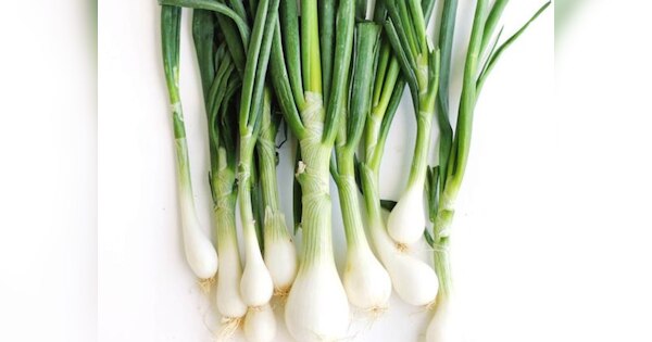 Eating Spring onions in winter will cure many diseases | Spring Onion ...