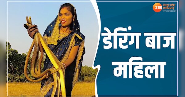 daring women catch many snakes with one hand video viral at social ...