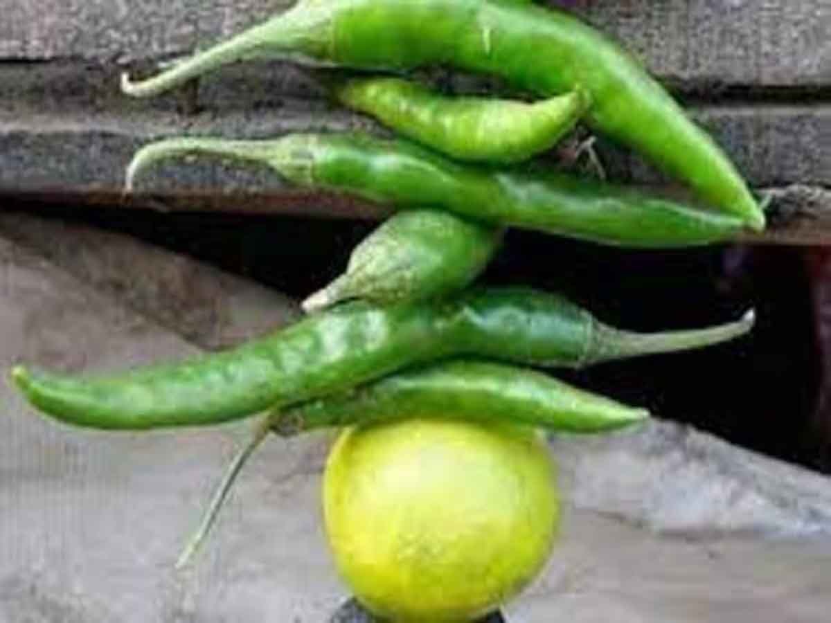 Nimbu Mirch Ke Totke lemon chilli totke upay for career job hindi mein ...