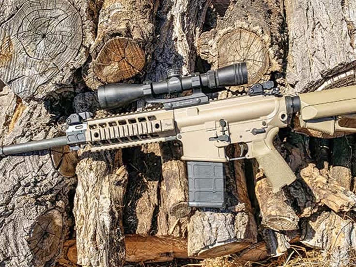 Sig Sauer Assault 716 Rifles power and quality all you need to know ...