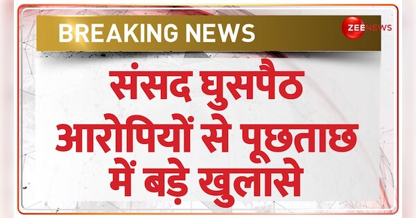 Parliament Security Breach Update The accused told the police the ...