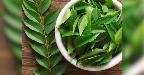 Curry Leaves Water Benefits: शरीर के लिए बेहद ही लाभकारी होता है इस ...
