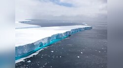 Worlds Biggest Iceberg A23a की ताज़ा खबरे हिन्दी में | ब्रेकिंग और ...