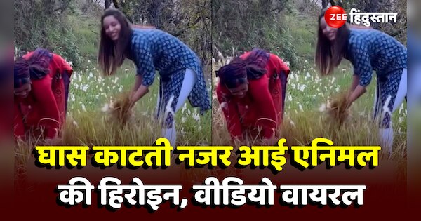 Animal Actress Tripti Dimri old video in simple pahadi look goes viral ...