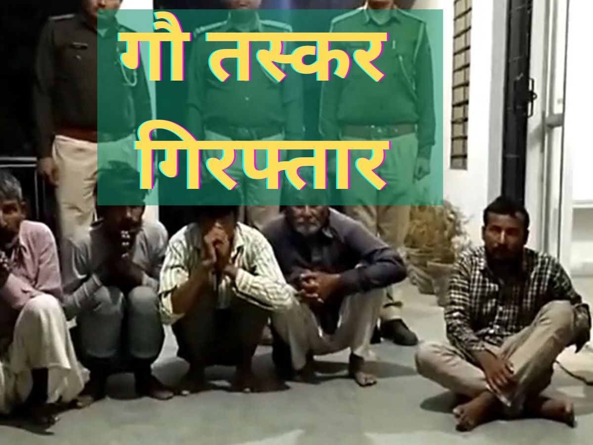 Jhunjhunu Major action by police against cow smuggling many Smugglers ...