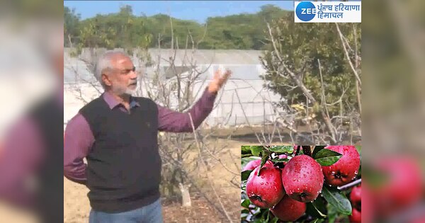 Agriculture News: ਜਾਣੋ ਪੰਜਾਬ ਦੇ ਕਿਹੜੇ-ਕਿਹੜੇ ਜ਼ਿਲ੍ਹਿਆਂ ਦੀ ਮਿੱਟੀ ਸੇਬ ਦੀ ...