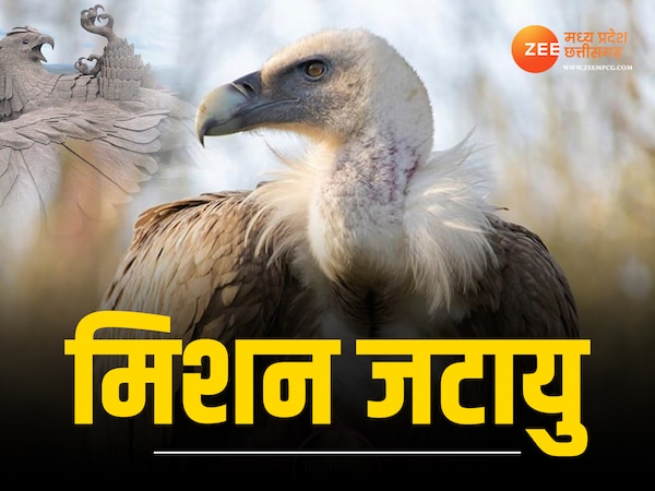 MP News Rewa Forest Department team started Mission Jatayu campaign to ...