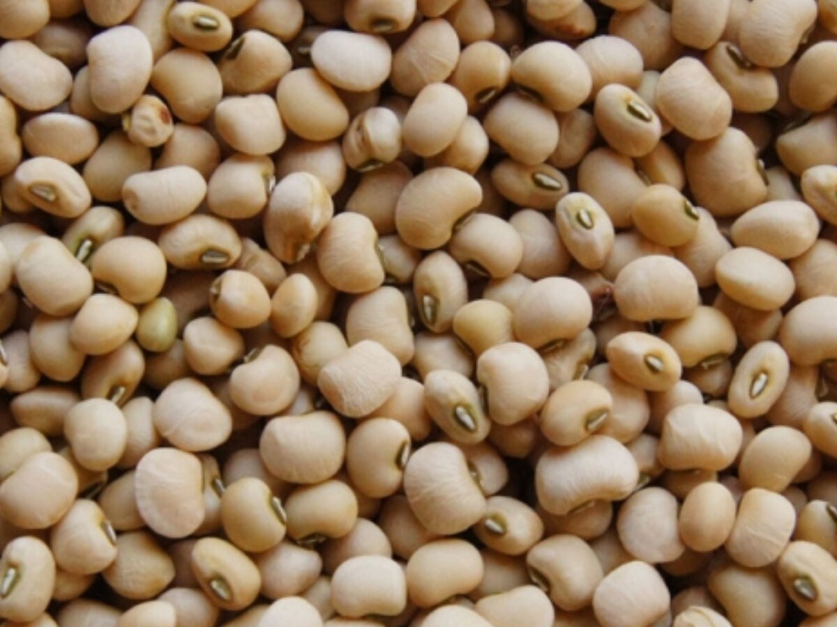 Health Tips lobia dal benefits for energy booster bones in hindi Lobia ...