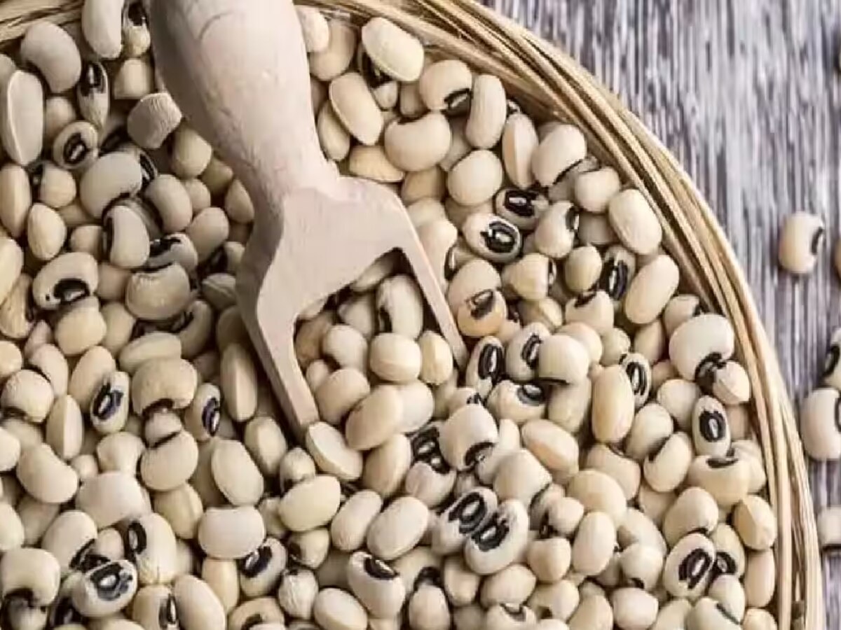 Health Tips lobia dal benefits for energy booster bones in hindi Lobia ...