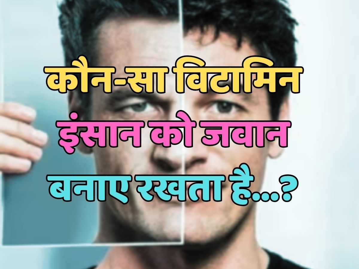 Trending Quiz कौन सा विटामिन इंसान को जवान बनाए रखता है General