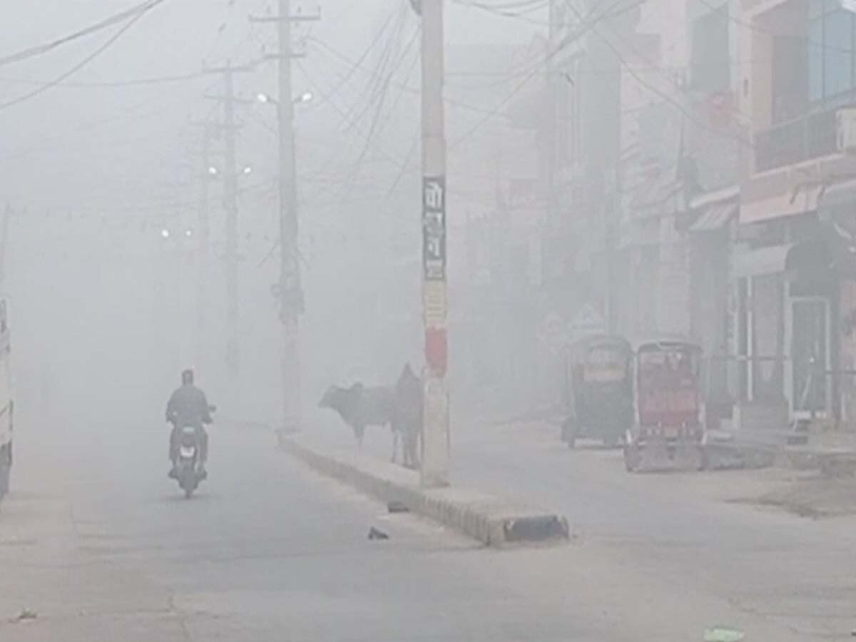Rajasthan Weather dense fog in churu | चूरू में घना कोहरा, दिनचर्या ...