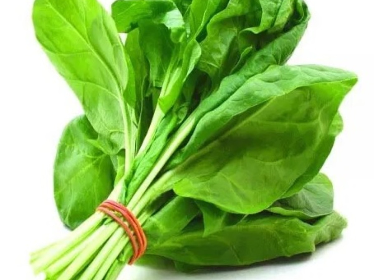 Eat these 5 green leafy vegetables in winter you will get many benefits ...