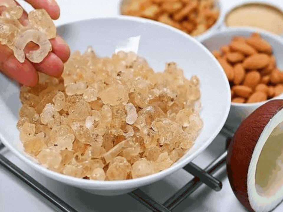 Gond Benefits: ये पत्थर जैसी चीज है गंभीर बीमारियों का इलाज, जानें फायदे