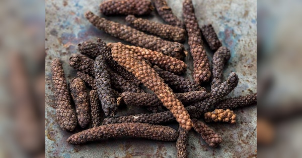 Health tips long pepper powder benefits in winter season pippali ke ...