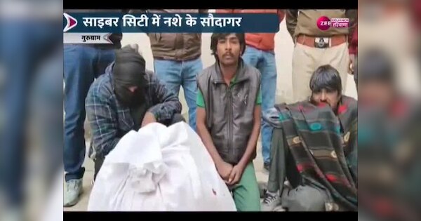 haryana gurugram news cyber city police arrested goons with 23 kg weed ...