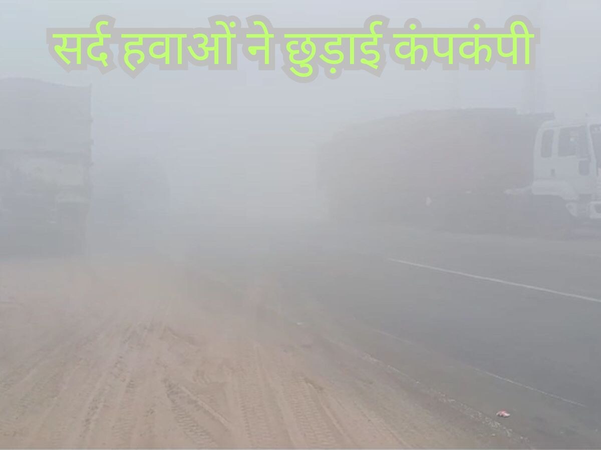 Churu wrapped in dense fog cold winds relieved shivering | Rajasthan ...