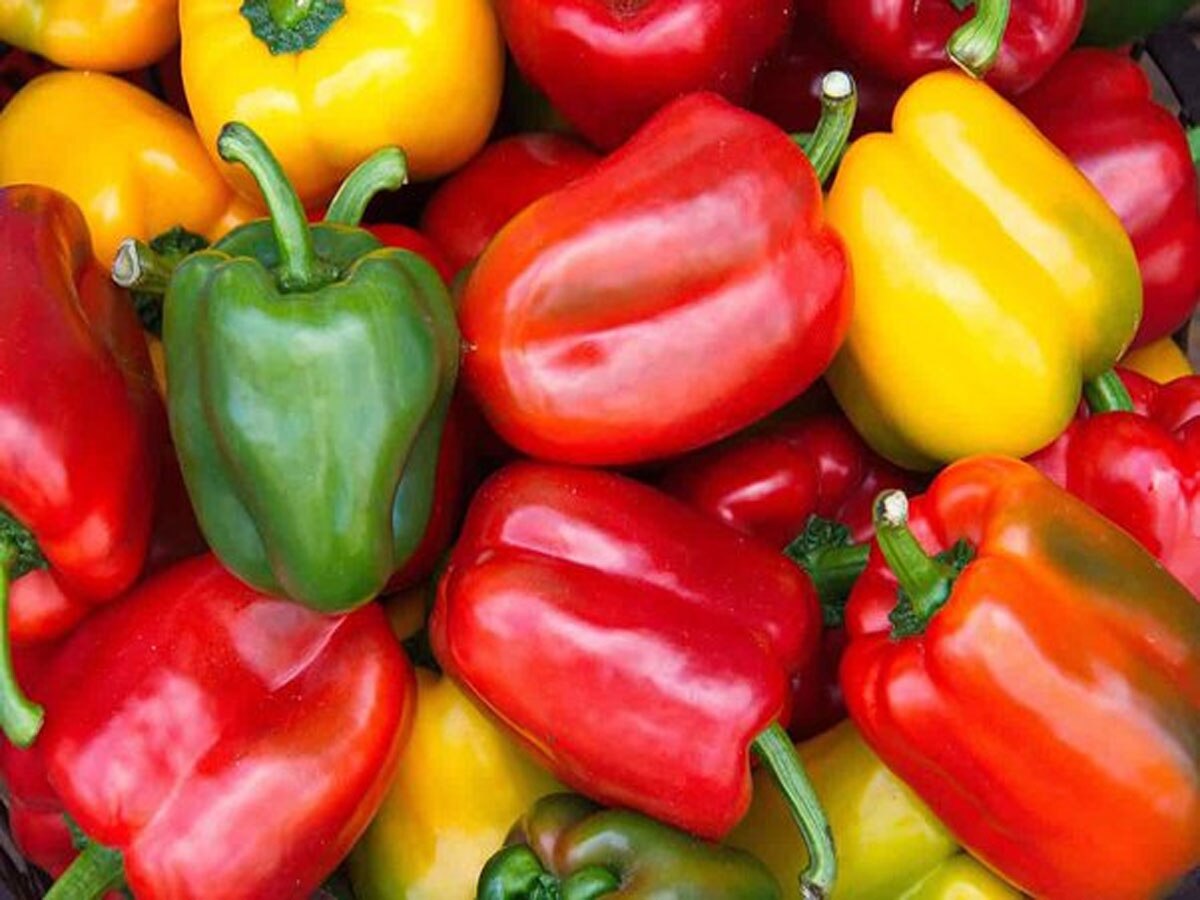 Health News Green red yellow capsicum know which should be eaten when ...