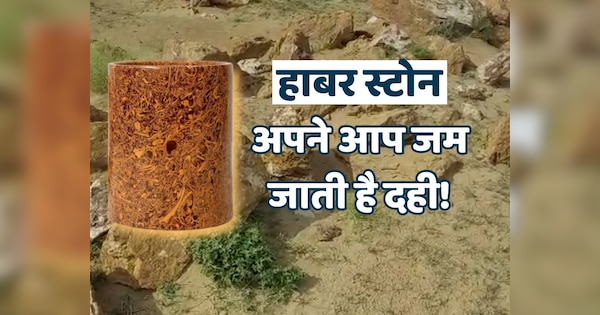 Habur stone of Rajasthan jaisalmer has such magic curd sets ...