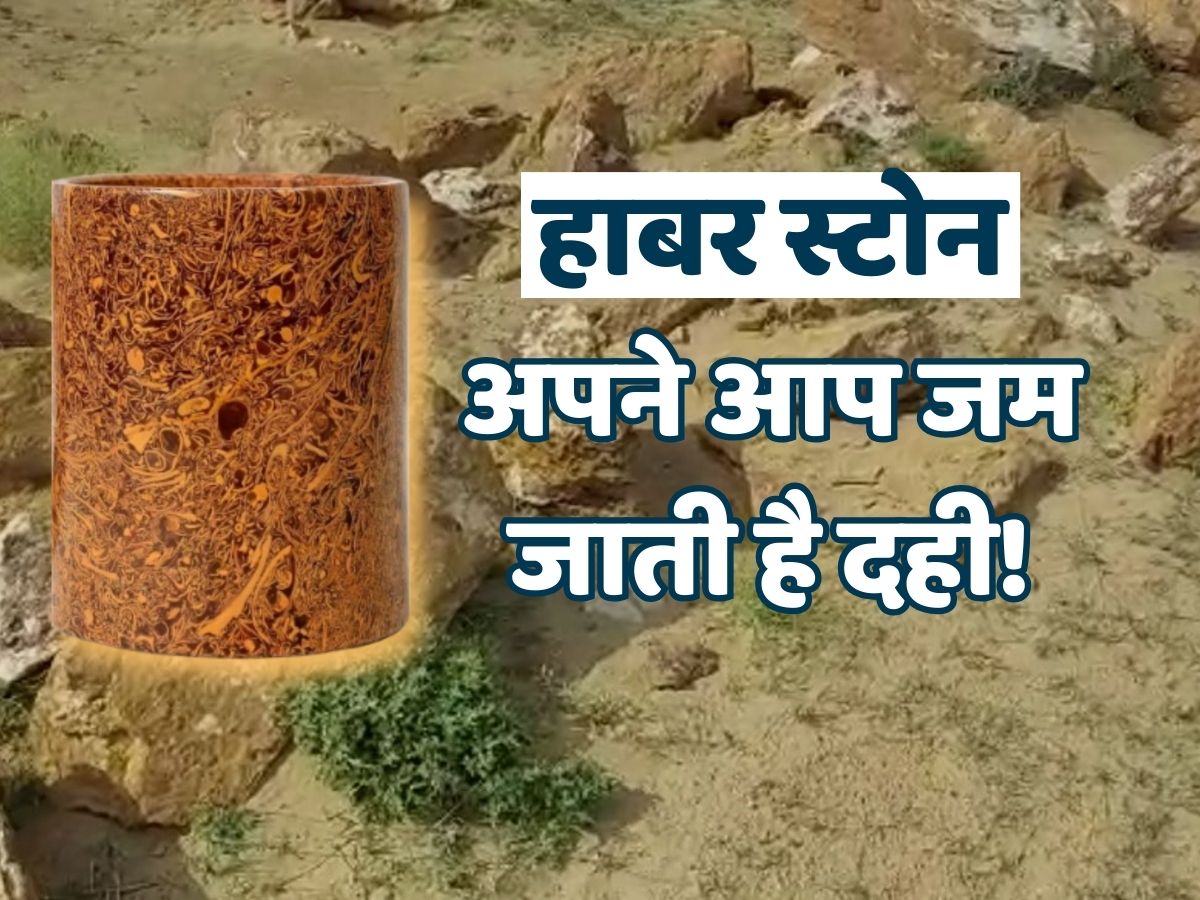 Habur stone of Rajasthan jaisalmer has such magic curd sets ...