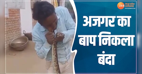 Python Caught Man Azgar Ka Hamla Watch Omg Viral Video | अजगर का बाप है ये बंदा, हमले पर चीरने ...