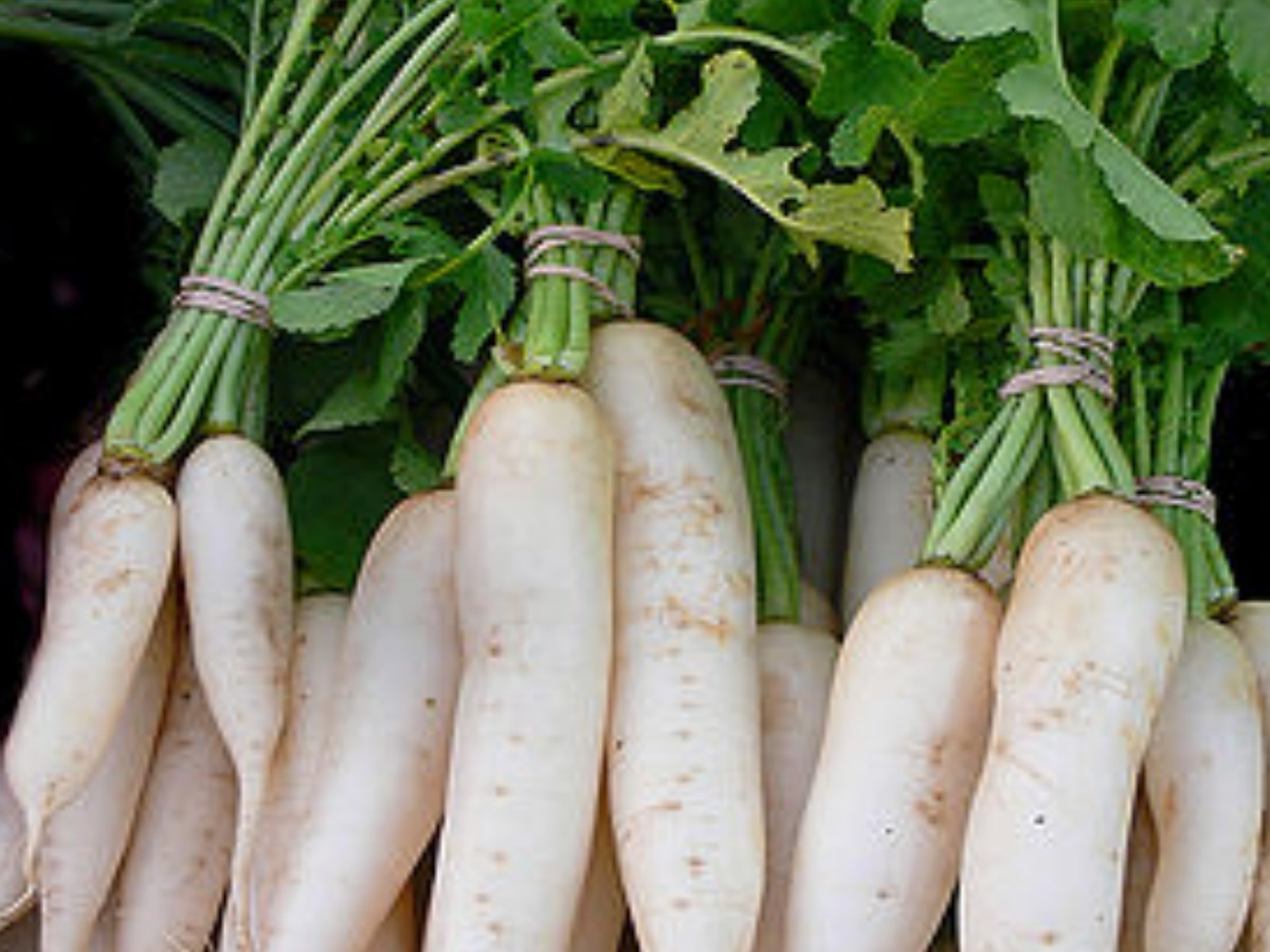 Mooli Benefits: मूली का ऐसा इस्तेमाल, आ जाएगा मजा; जानें तरीका और समय ...