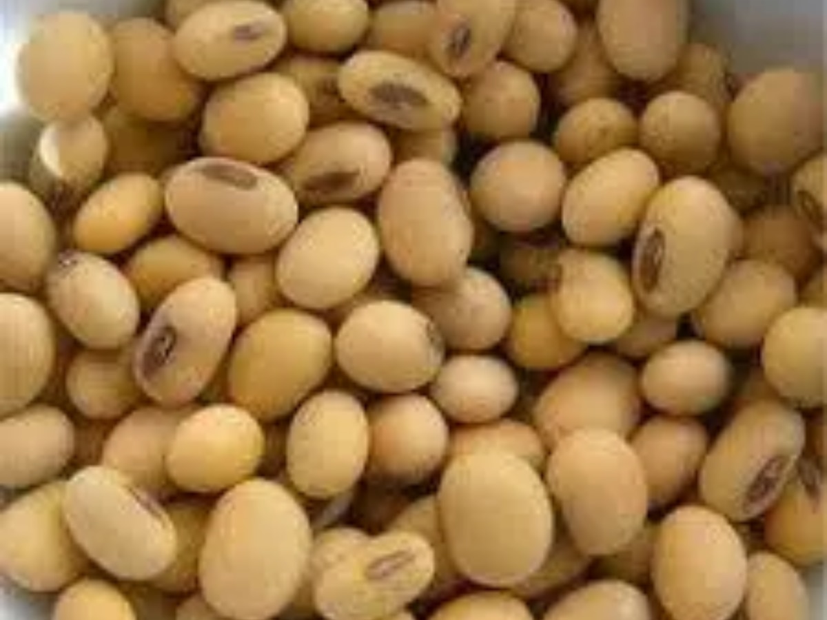 soyabean benefits in women menopause astrogen hormone soya bean khane ...