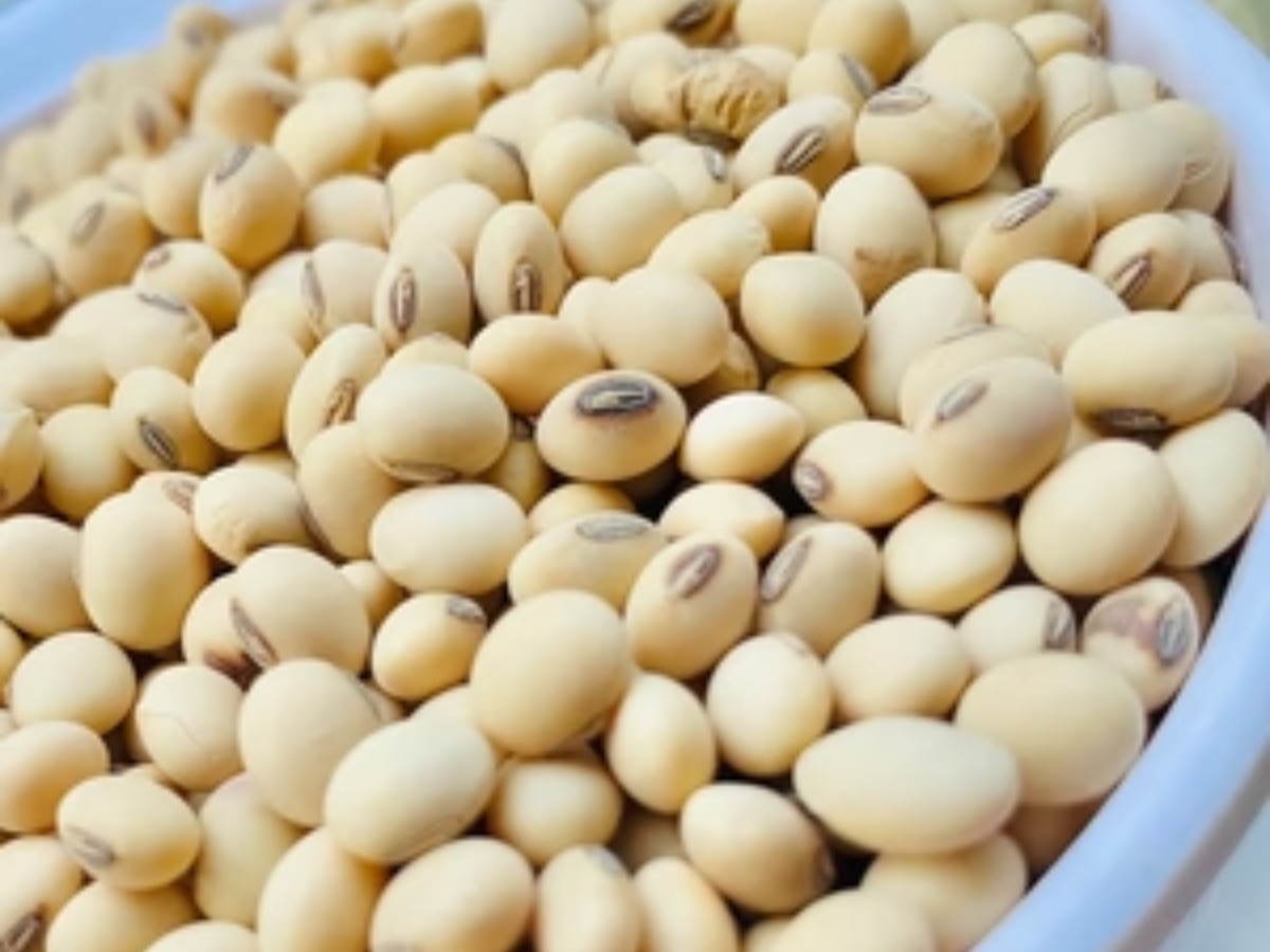 soyabean benefits in women menopause astrogen hormone soya bean khane ...