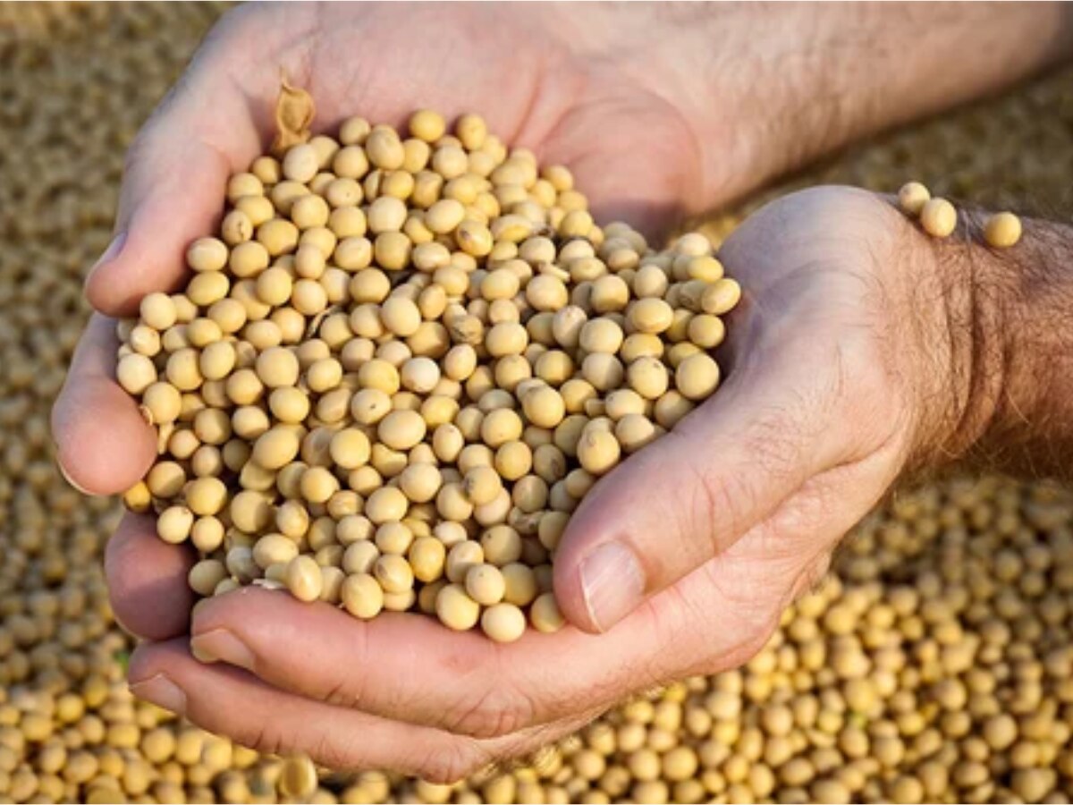 soyabean benefits in women menopause astrogen hormone soya bean khane ...