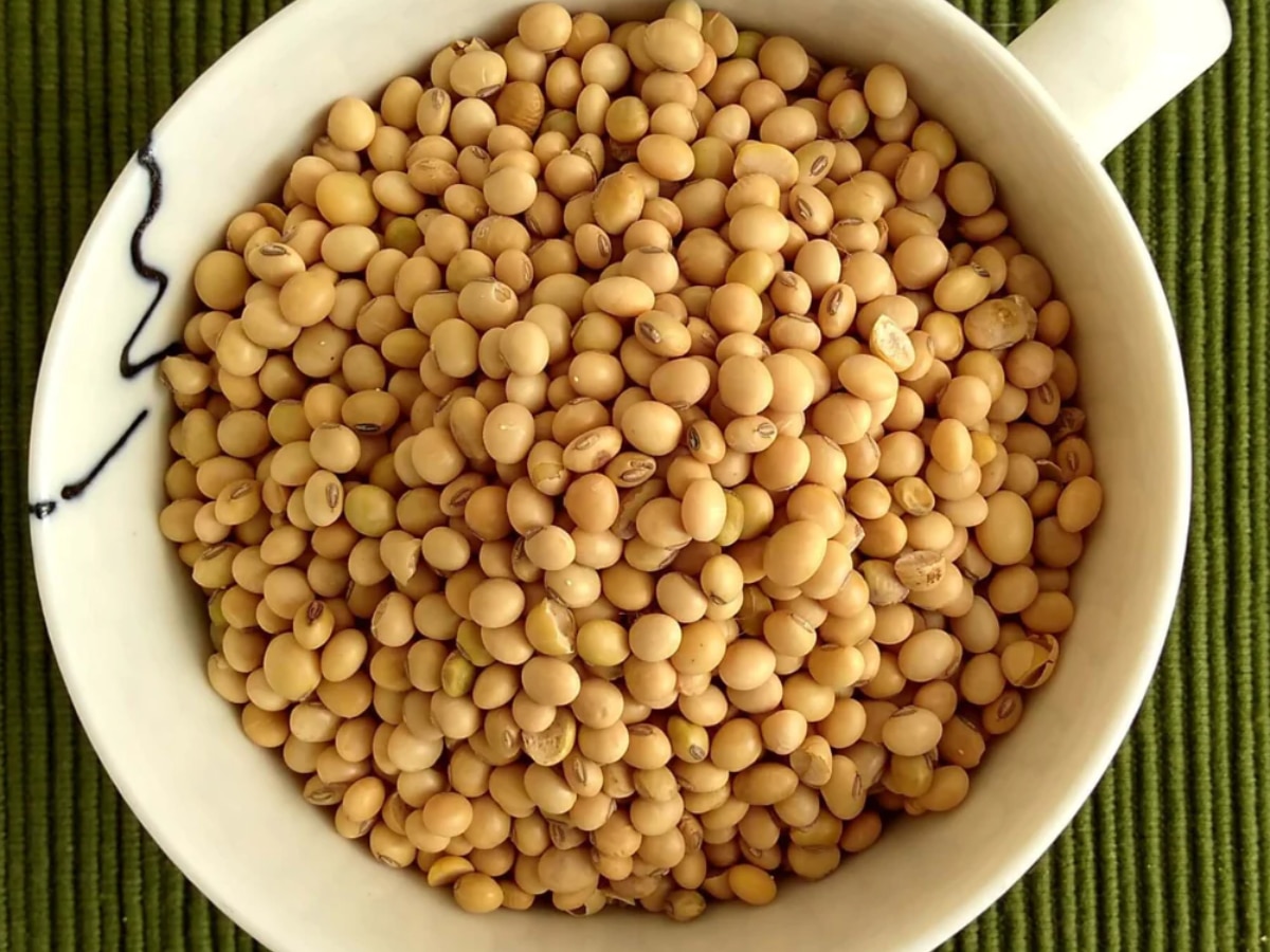 soyabean benefits in women menopause astrogen hormone soya bean khane ...