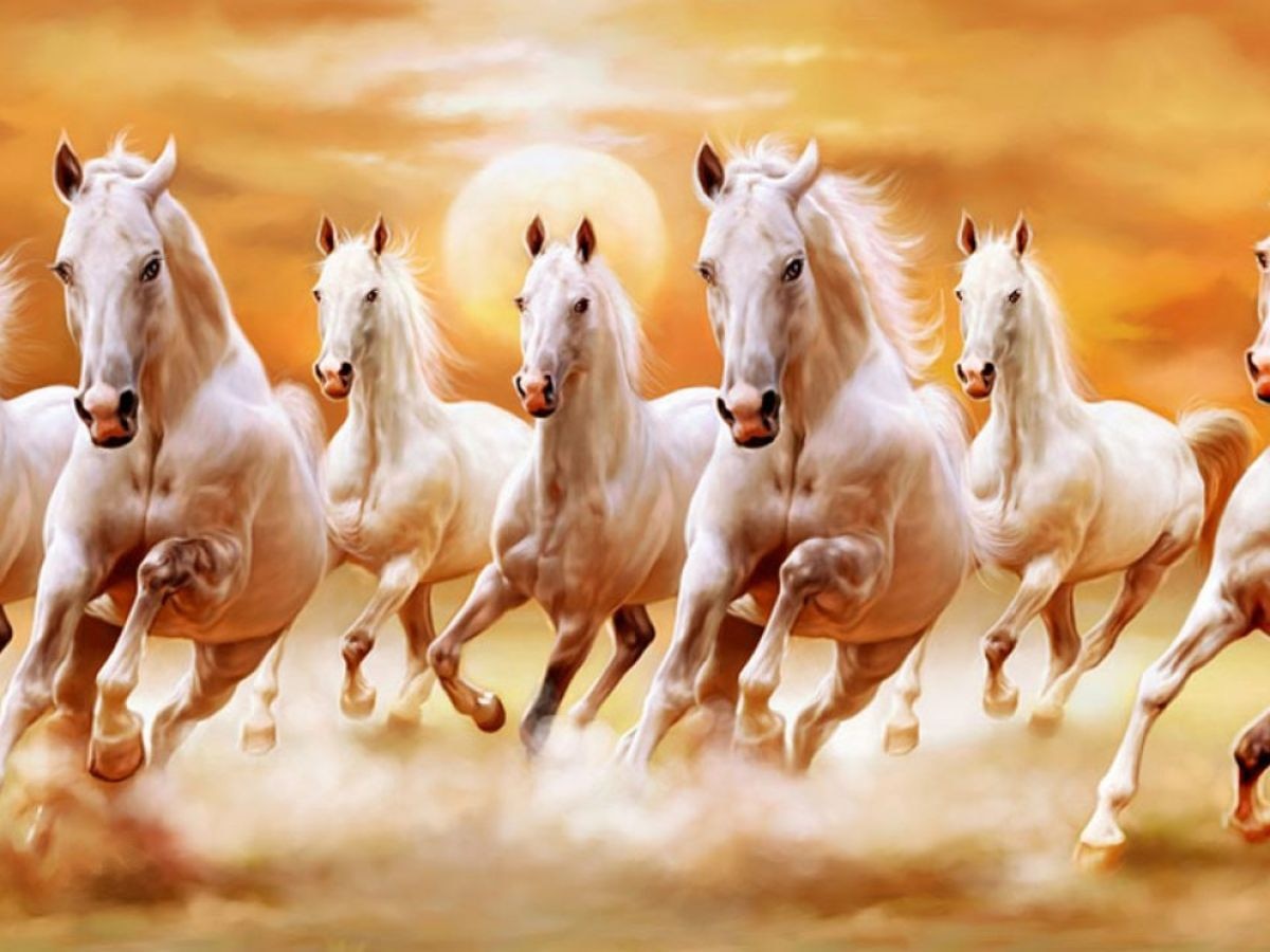 Lord sun seven horses name wheel and significance sooraj ke saat ghode ...
