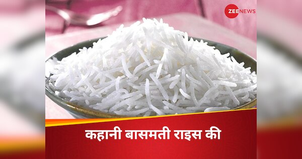 India Gate Basmati Rice Success Story, A Journey from Pakitan to India ...