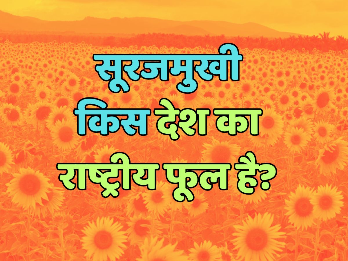 Trending Quiz सूरजमुखी किस देश का राष्ट्रीय फूल है General