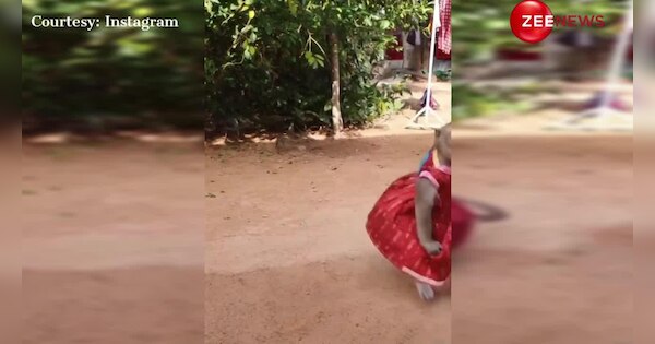 Bandaria did funny dance wearing frock video goes viral | बंदरिया ने ...