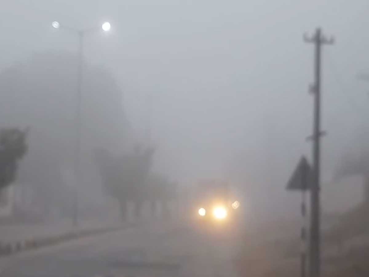 Sikar weather temperature goes down in Shekhawati Region due to dense ...