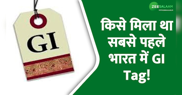 What is GI Tags and what is the parameter to receive GI tag of any Products